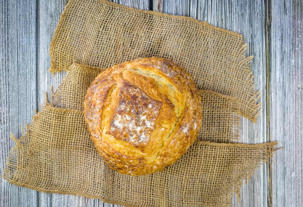 Grilled Bread with Tomatoes and Ricotta - Cook What You Love