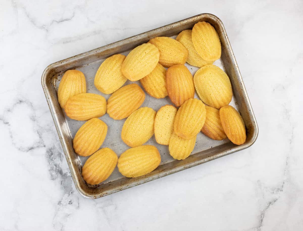 Honey Butter Cornbread Madeleines - Cook What You Love